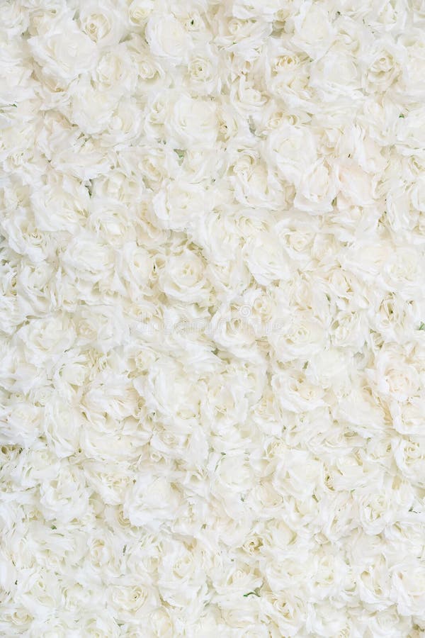 Viejo fondo color de rosa foto de archivo. Imagen de aniversario - 42421378