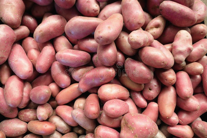 Fondo Completo Del Marco De Patatas Rojas Imagen de archivo - Imagen de ...