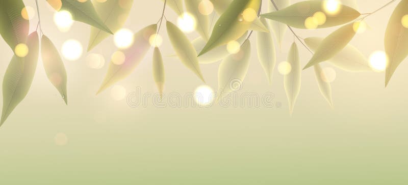 Fondo Con Follaje Verde, Ramas Y Bokeh, Vectorial Ilustración del ...