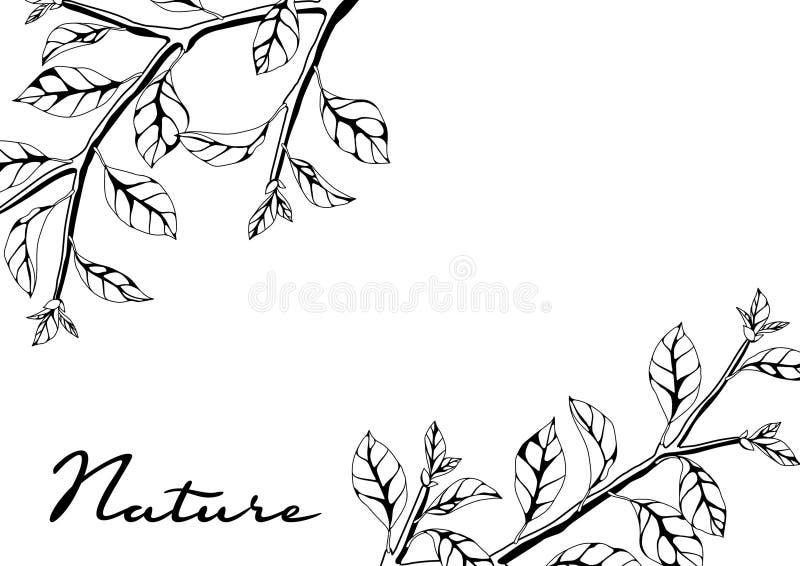 Fondo con ramas y hojas. . ilustración del vector. Ilustración de ...