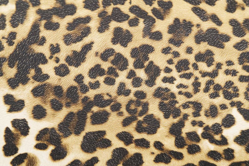 Fondo Con Textura Del Leopardo Imagen de archivo - Imagen de ...
