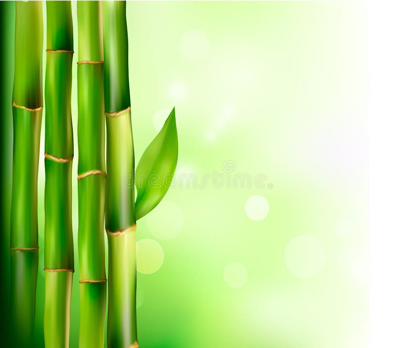 Fondo de bambú. Vector ilustración del vector. Ilustración de asia ...