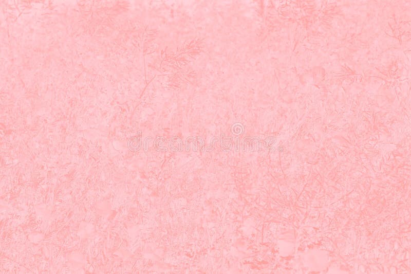 Fondo De Color Pálido Pálido Color Rosa Pálido Pastel Stock de ...