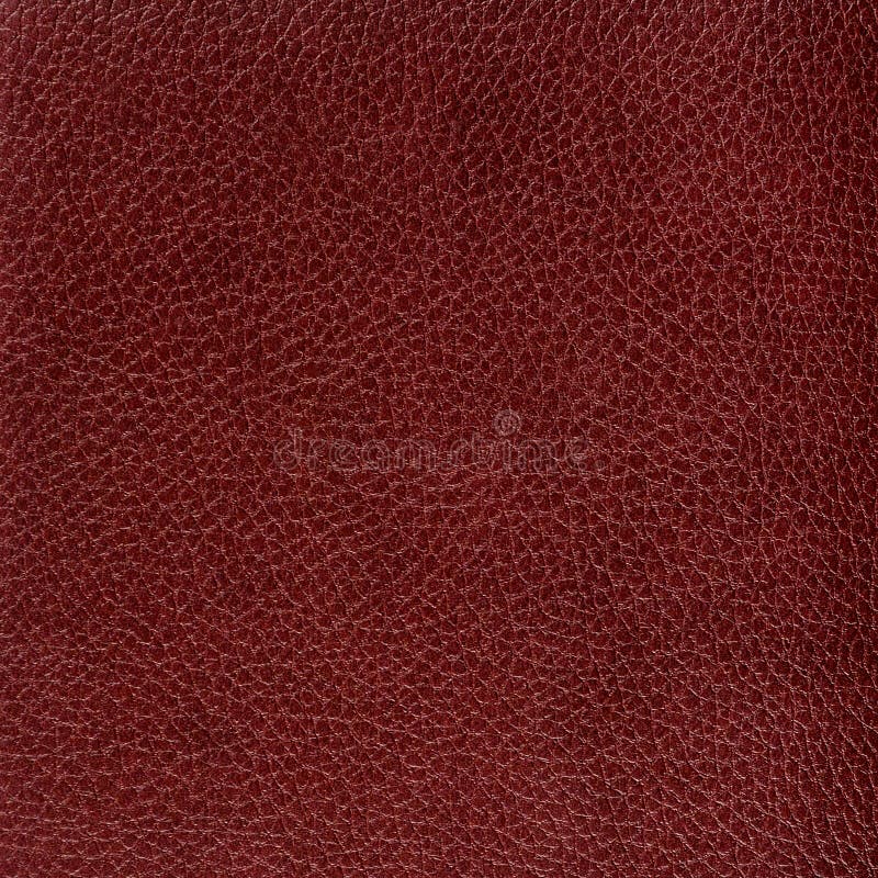 Cuero rojo imagen de archivo. Imagen de negocios, estudio - 13569841