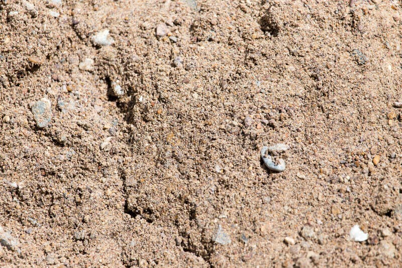 Fondo De La Grava Y De La Arena Foto de archivo - Imagen de travieso ...