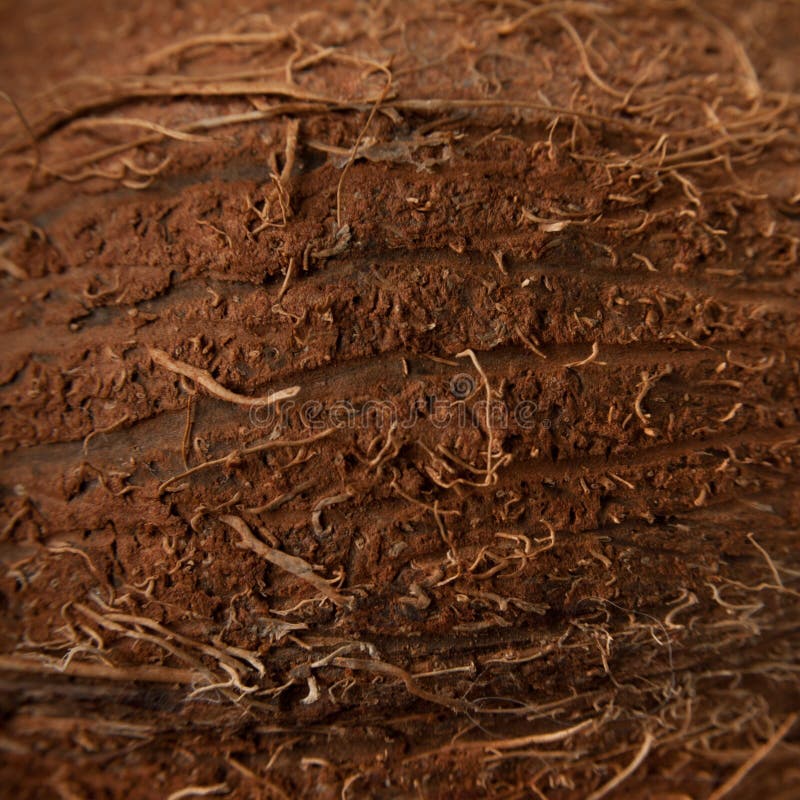 Fondo De La Macro De La Textura Del Coco Imagen de archivo - Imagen de ...
