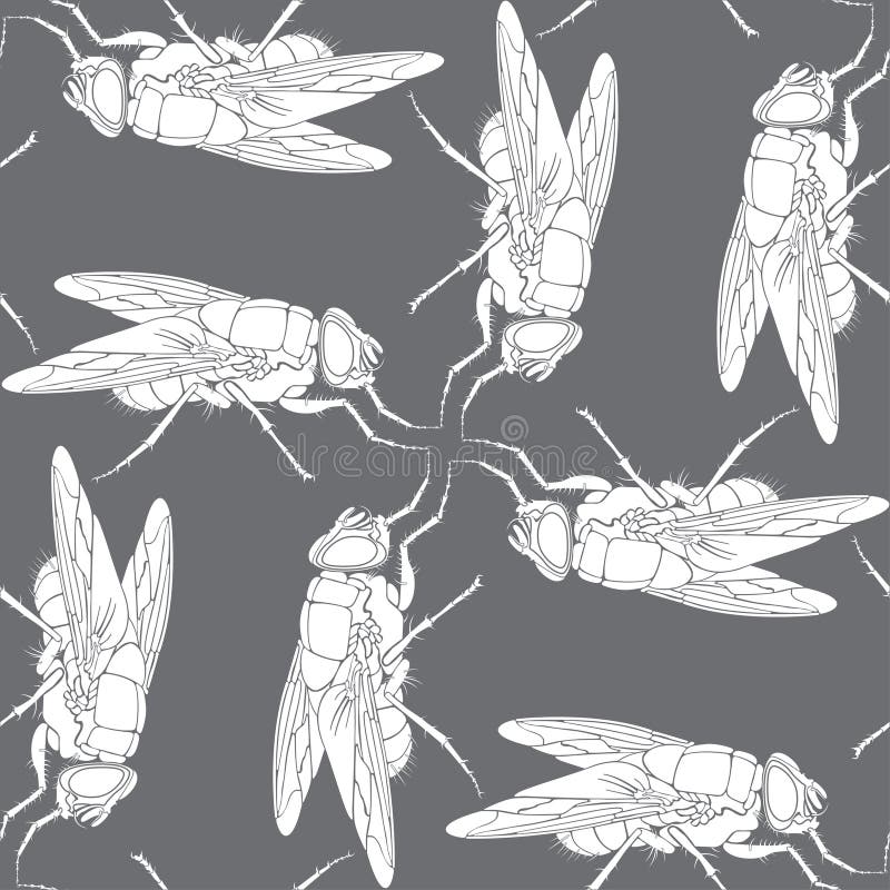 Fondo de la mosca ilustración del vector. Ilustración de insectos ...