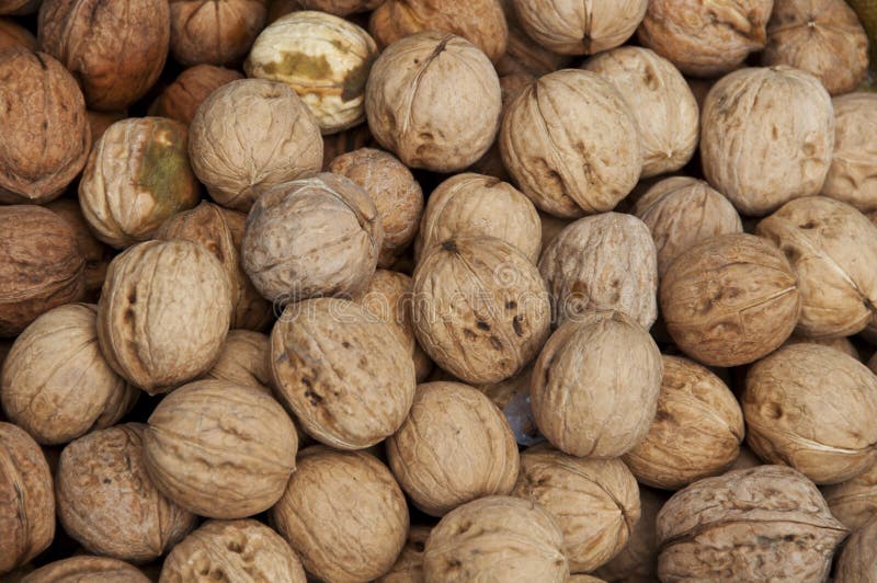 Fondo de la nuez foto de archivo. Imagen de ingrediente - 25121852