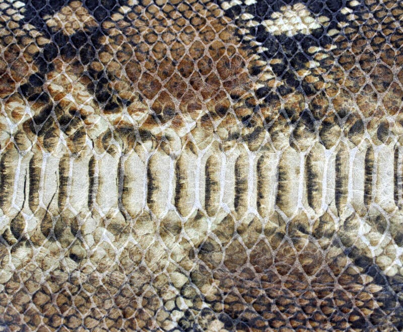 Fondo De La Piel De Serpiente Foto de archivo - Imagen de reptil ...