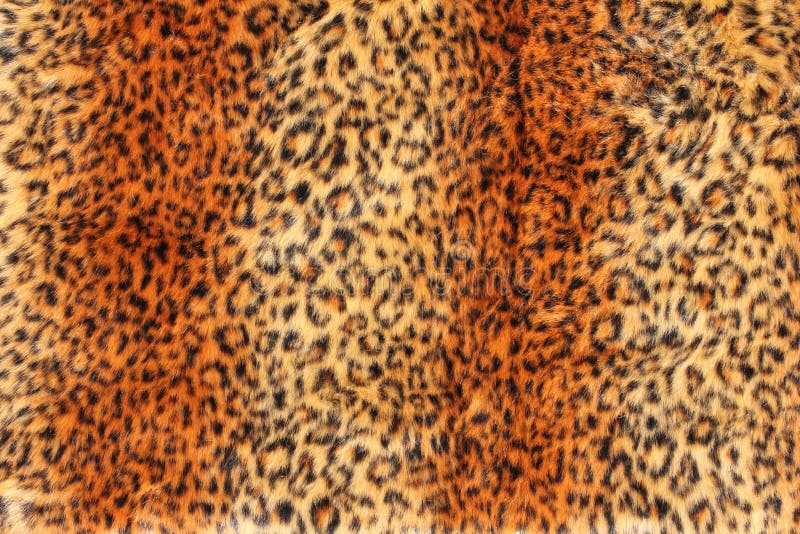 Fondo De La Piel Del Leopardo Foto de archivo - Imagen de animales ...