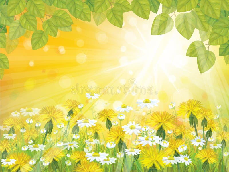 Fondo De La Sol Del Vector Con Las Ramas De La Licencia Ilustración del ...