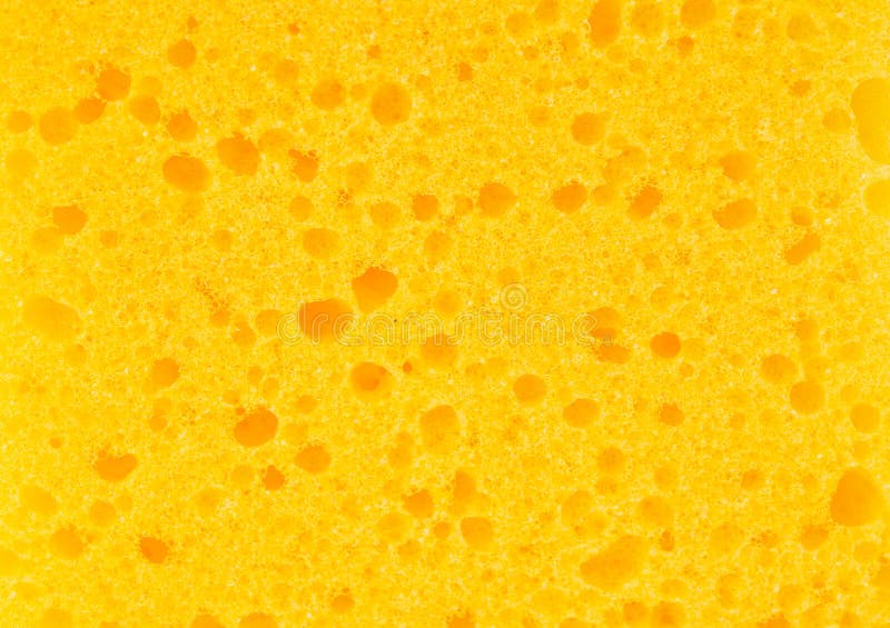Fondo Del Primer De La Textura De La Esponja Imagen de archivo - Imagen ...