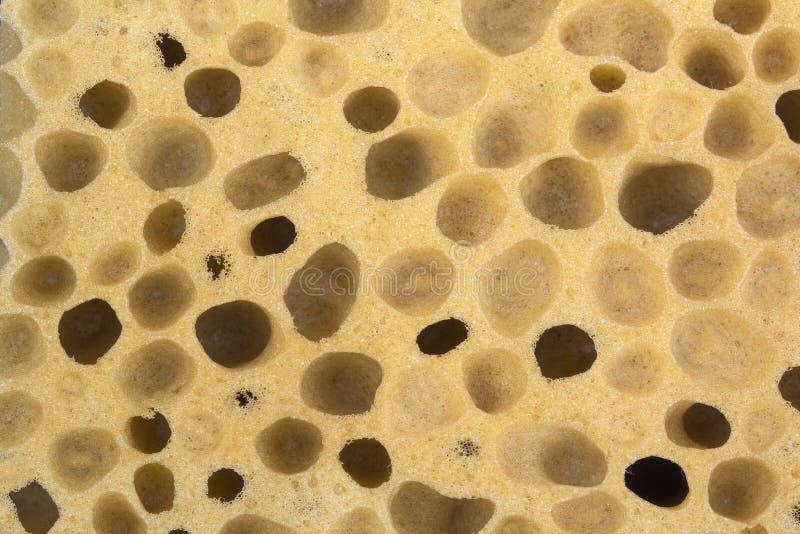 Textura de esponja imagen de archivo. Imagen de cocina - 67461895