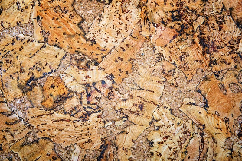 Fondo De La Textura Del Corcho Natural Foto de archivo - Imagen de ...