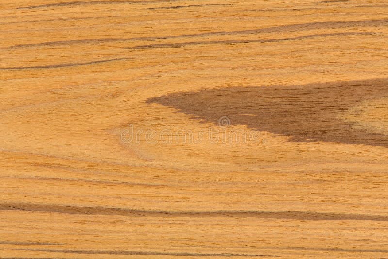 Fondo De La Textura De Madera De La Teca Seca Foto de archivo - Imagen ...