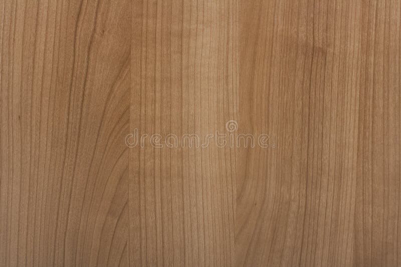 Textura de madera del olmo imagen de archivo. Imagen de lujo - 15547981