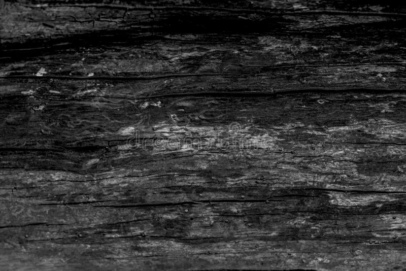 Fondo De Madera De Color Negro Foto de archivo - Imagen de chapeado ...