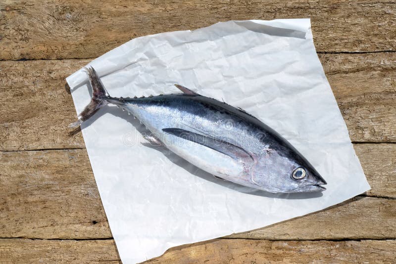 Albacora En Fondo De Madera Imagen de archivo - Imagen de fondo ...