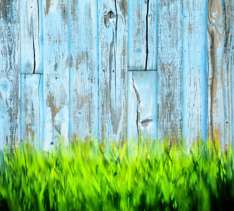 Fondo De Madera Pintado Hierba Foto de archivo - Imagen de yarda ...