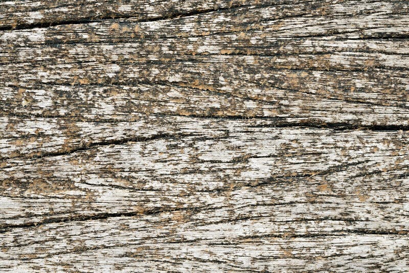 Fondo de madera putrefacto imagen de archivo. Imagen de apenado - 43792113