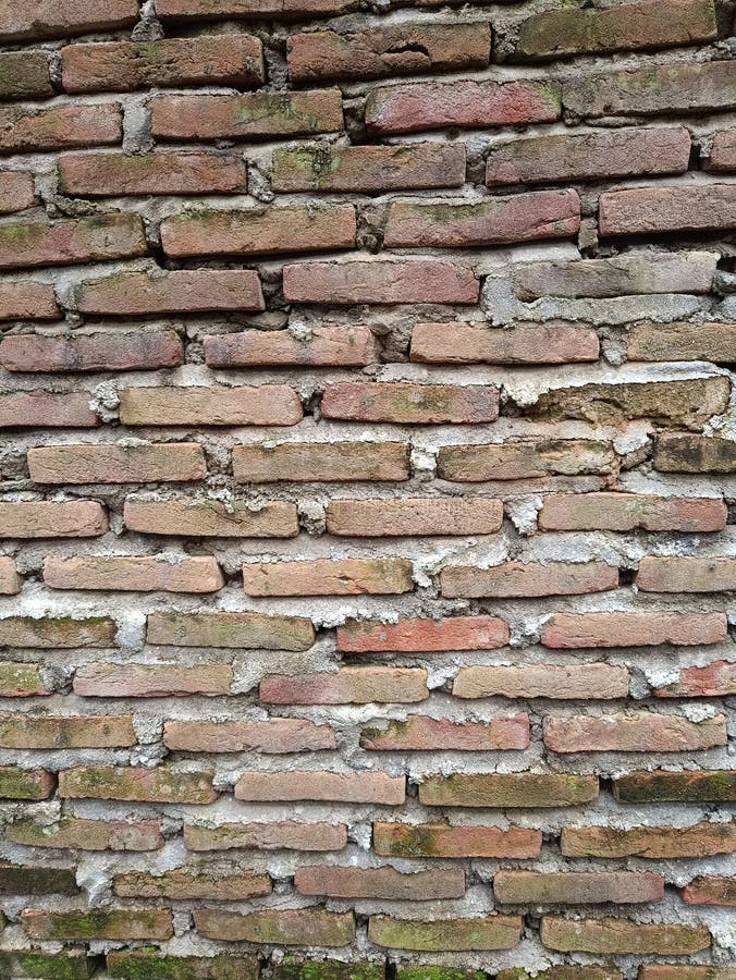 Fondo De Pared De Ladrillo Rojo Limpio Imagen de archivo - Imagen de ...