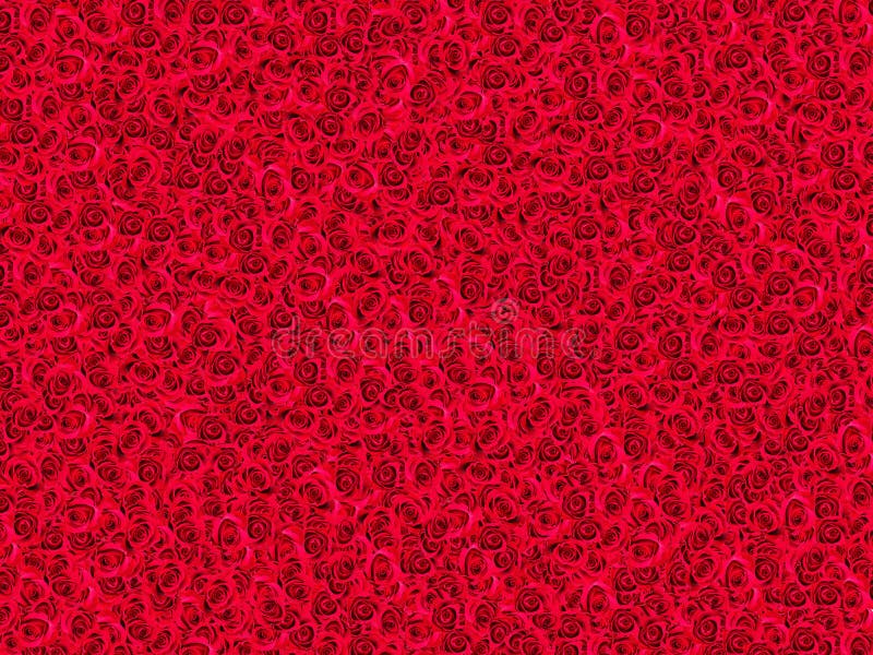 Fondo de rosas rojas foto de archivo. Imagen de extracto - 483044