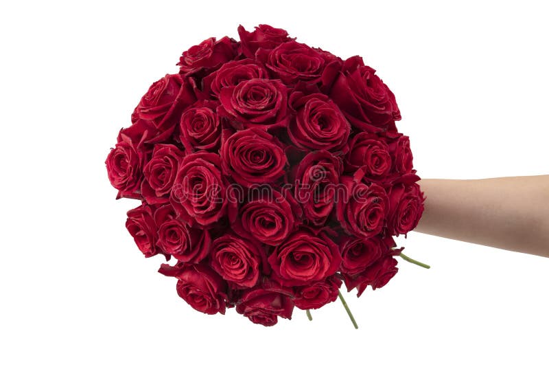 Fondo De Rosas Rojas. Muchas Rosas Rojas Un Gran Ramo De Rosas. Ramo De ...