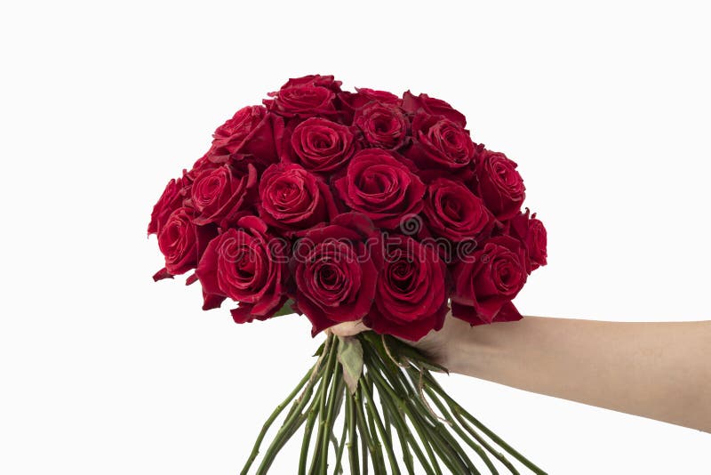 Fondo De Rosas Rojas. Muchas Rosas Rojas Un Gran Ramo De Rosas. Ramo De ...