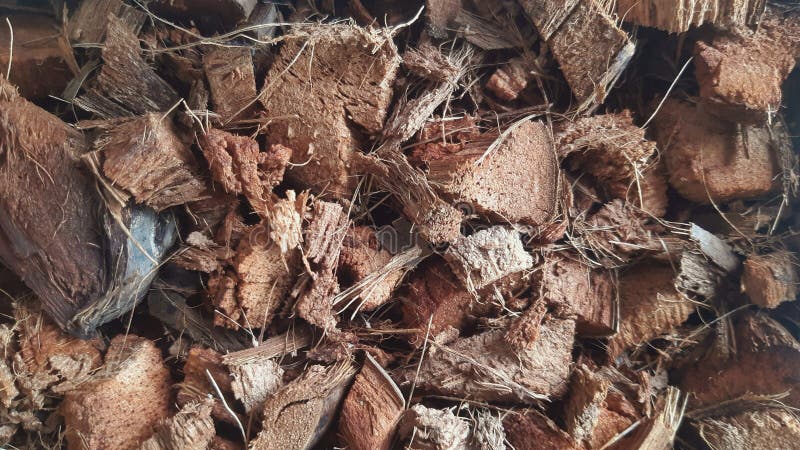 Fondo De Superficie De Fibra De Concha De Coco Terrestre. Imagen de ...