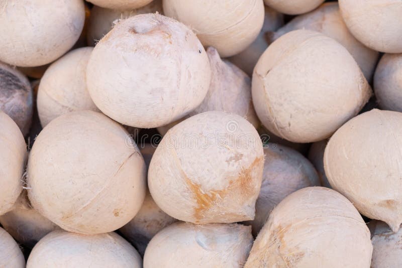 Fondo de textura de coco imagen de archivo. Imagen de medio - 161124951