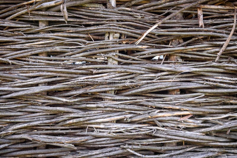Fondo De Textura De La Pared Tejida Con Ramas Secas Imagen de archivo ...