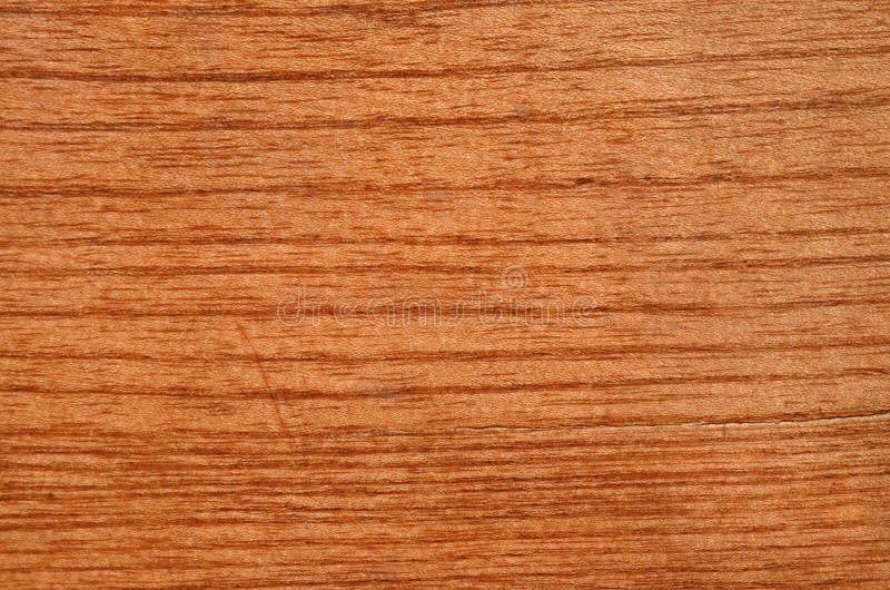 Fondo De Textura De Madera De Arce Imagen de archivo - Imagen de ...