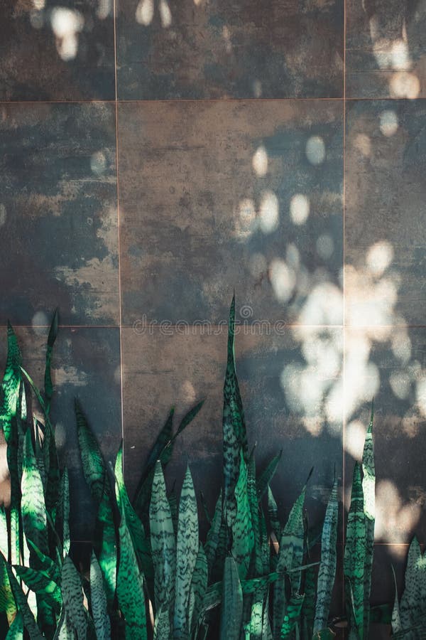 Fondo De Textura Moderna Gris De Pared De Piedra Imagen de archivo ...