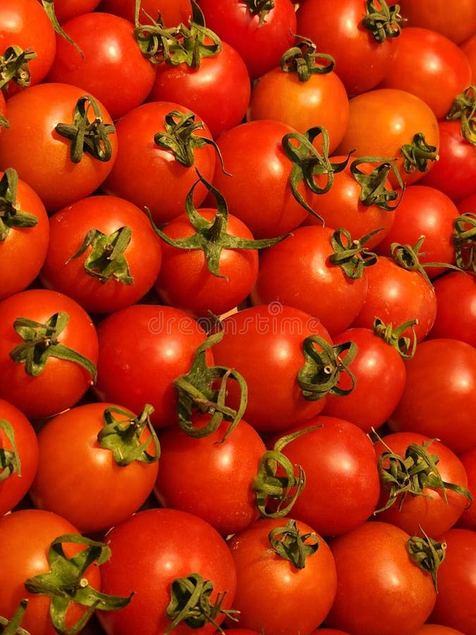 Fondo De Tomates Rojos. Tomates Rojos En El Mostrador Imagen de archivo ...