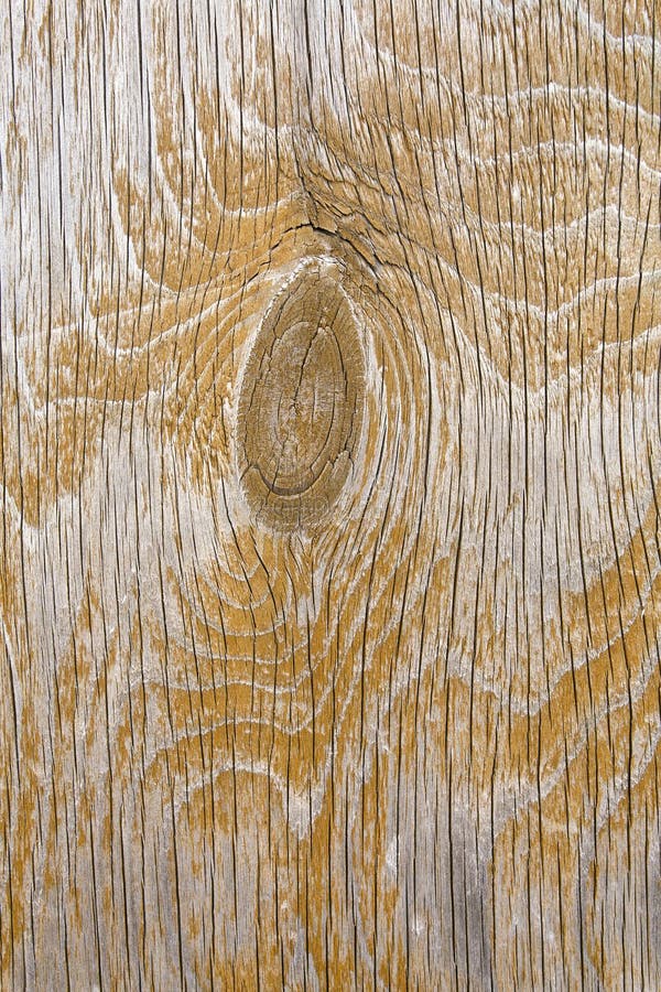 Fondo De Un Corte De Madera Con Una Textura Estampada Foto de archivo ...