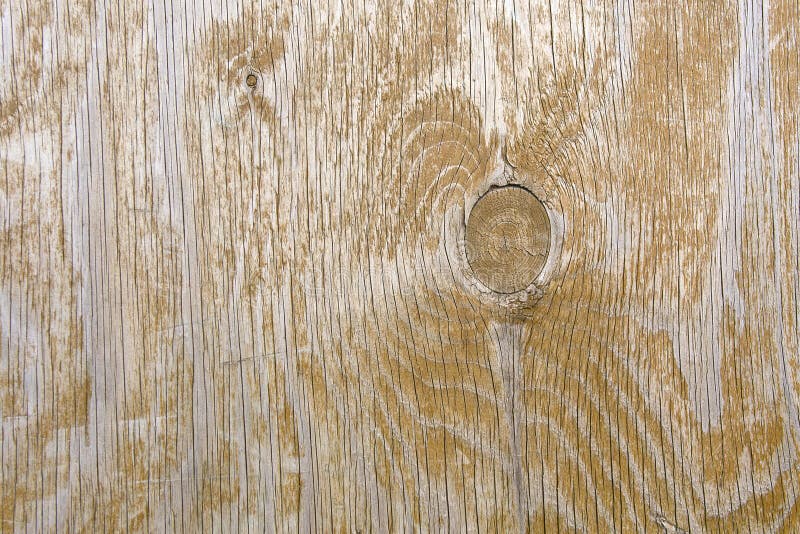 Fondo De Un Corte De Madera Con Una Textura Estampada Imagen de archivo ...