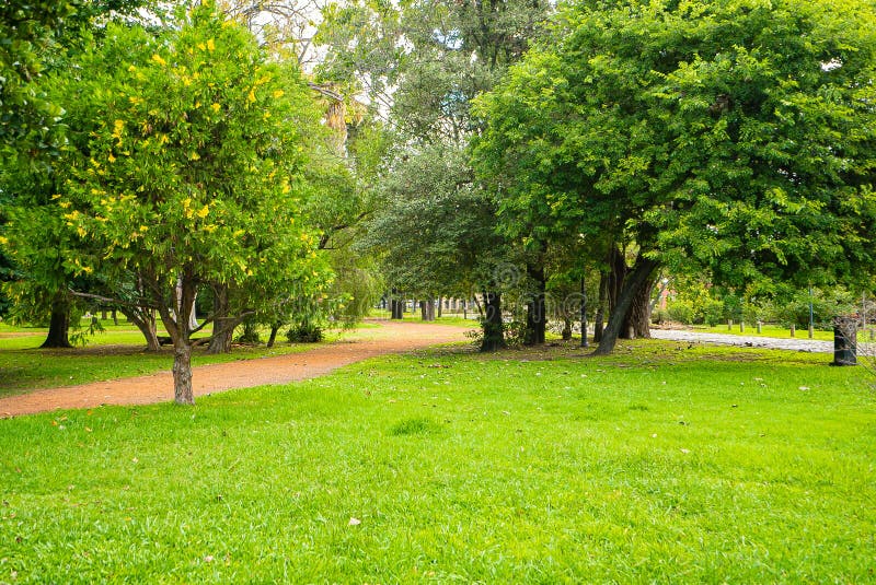 Fondo De Un Verde Parque De Verano Foto de archivo - Imagen de ...