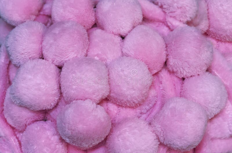 Fondo De Una Variedad De Pompones Rosados Foto de archivo - Imagen de ...