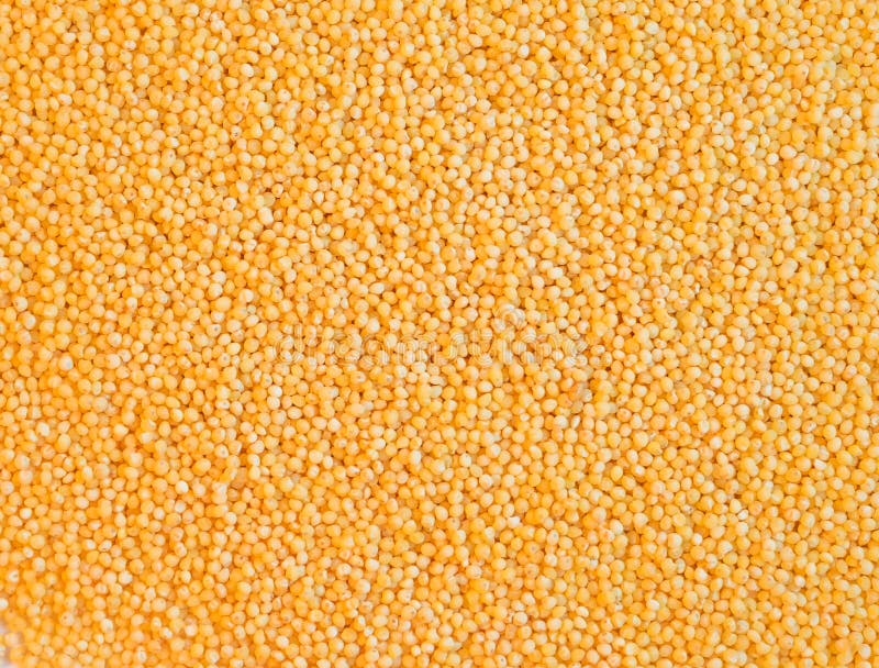 Fondo dei grani del miglio fotografia stock. Immagine di asciutto ...