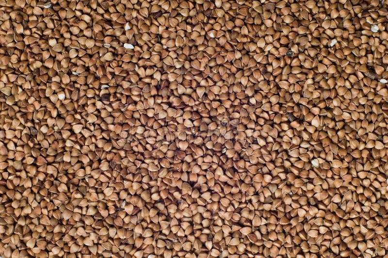 Alforfón del montón imagen de archivo. Imagen de comer - 2943671