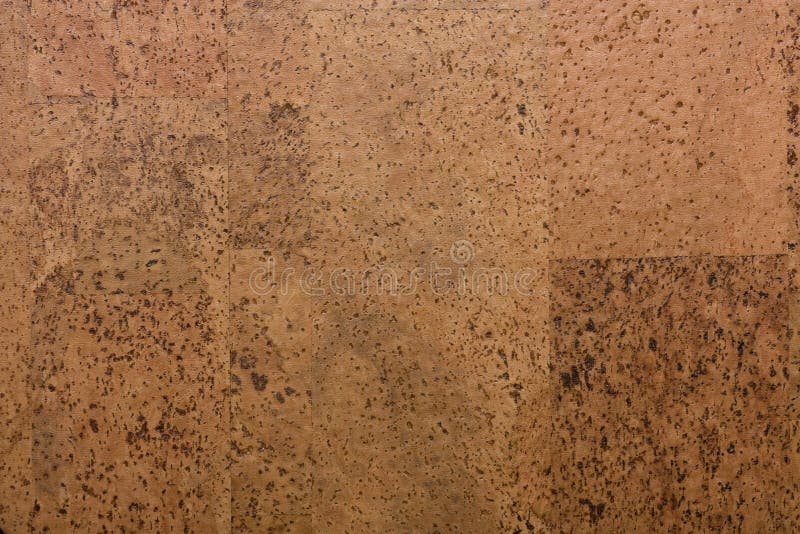 Fondo del Corkwood foto de archivo. Imagen de efecto - 13694898