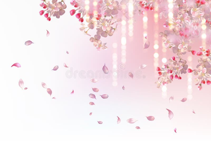 Fondo Del Flor De La Primavera Ilustración del Vector - Ilustración de ... Fondo Del Flor De La Primavera Ilustración del Vector - Ilustración de ...