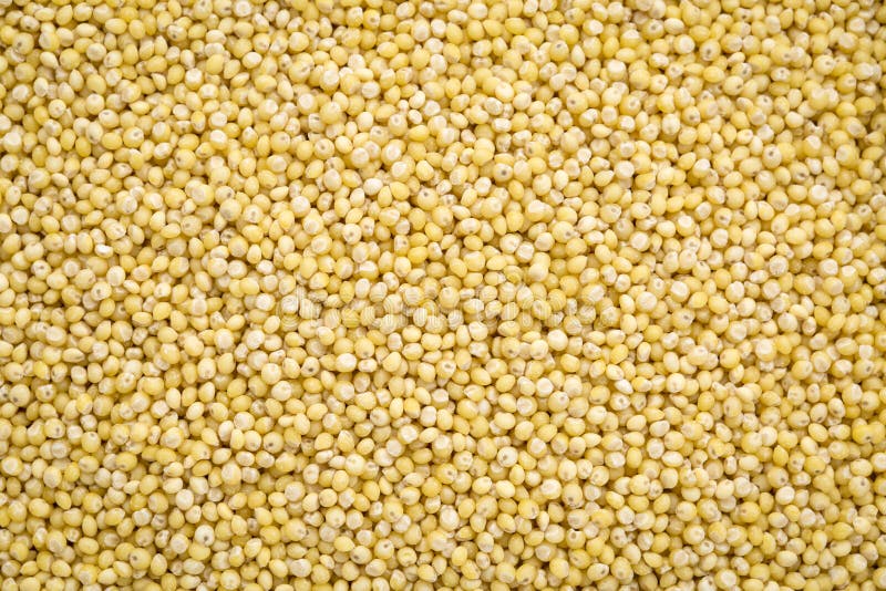 Fondo del grano del mijo imagen de archivo. Imagen de fondo - 112974699