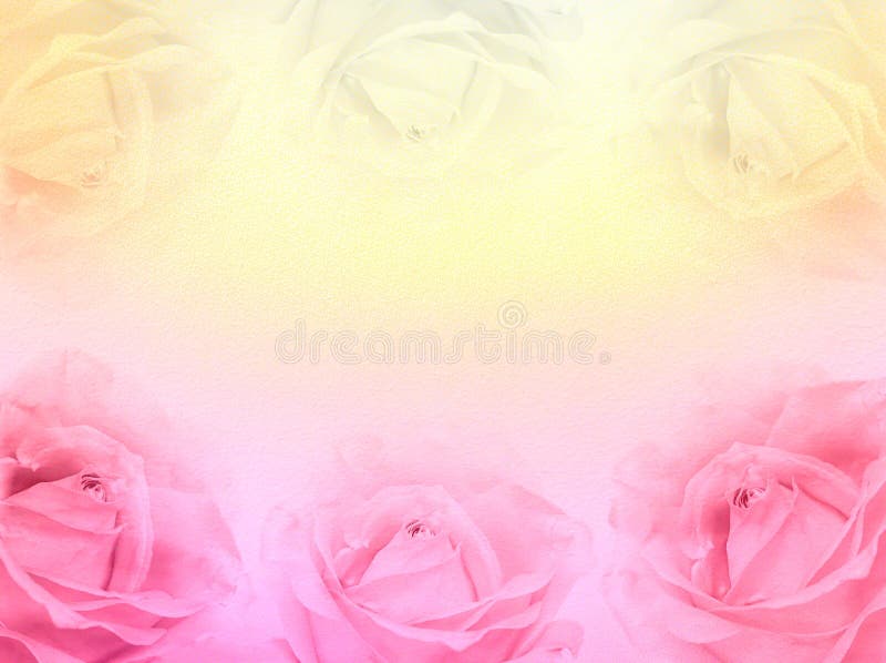 Fondo Del Pastel De La Rosa Del Rosa Y Del Amarillo Foto de archivo ...