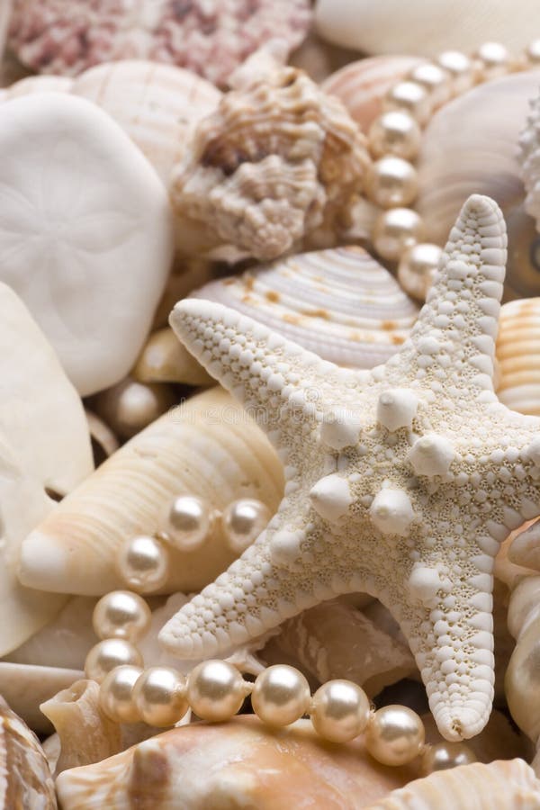 Fondo Del Seashell Con Las Perlas Foto de archivo - Imagen de copia ...