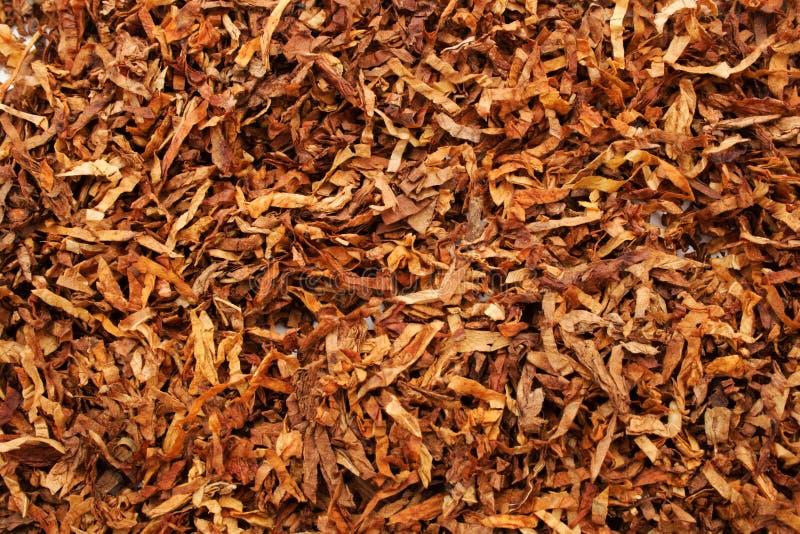 Fondo del tabaco foto de archivo. Imagen de malsano, nicotina - 14674598