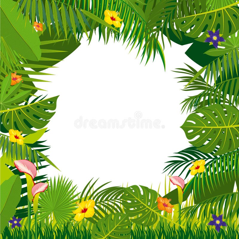Fondo Del Vector De La Selva Con Las Hojas De La Palmera Ilustración ...