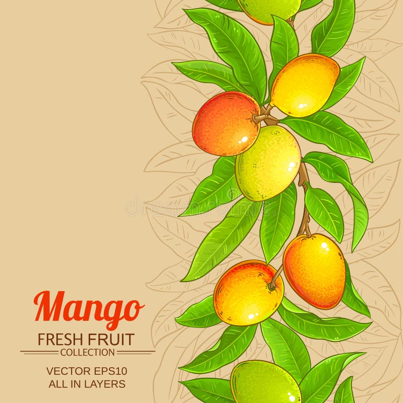 Fondo del vector del mango ilustración del vector. Ilustración de ...