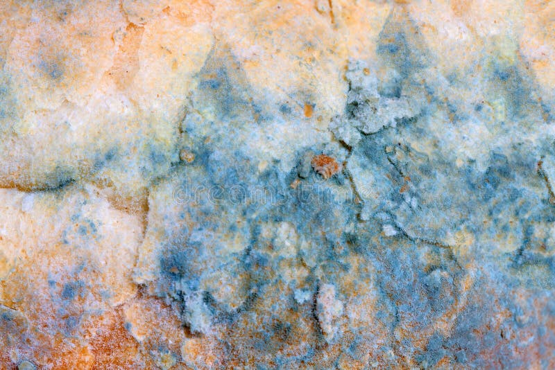 Fondo della muffa immagine stock. Immagine di verde, vista - 37029295