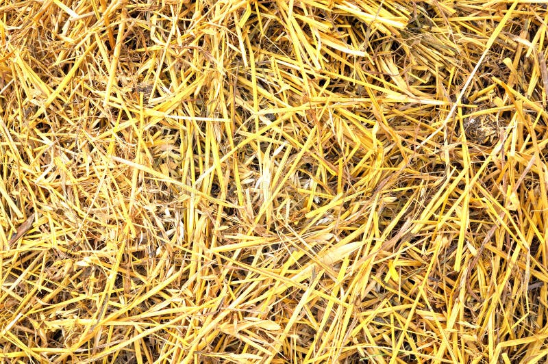 Fondo della paglia fotografia stock. Immagine di orizzontale - 32461032